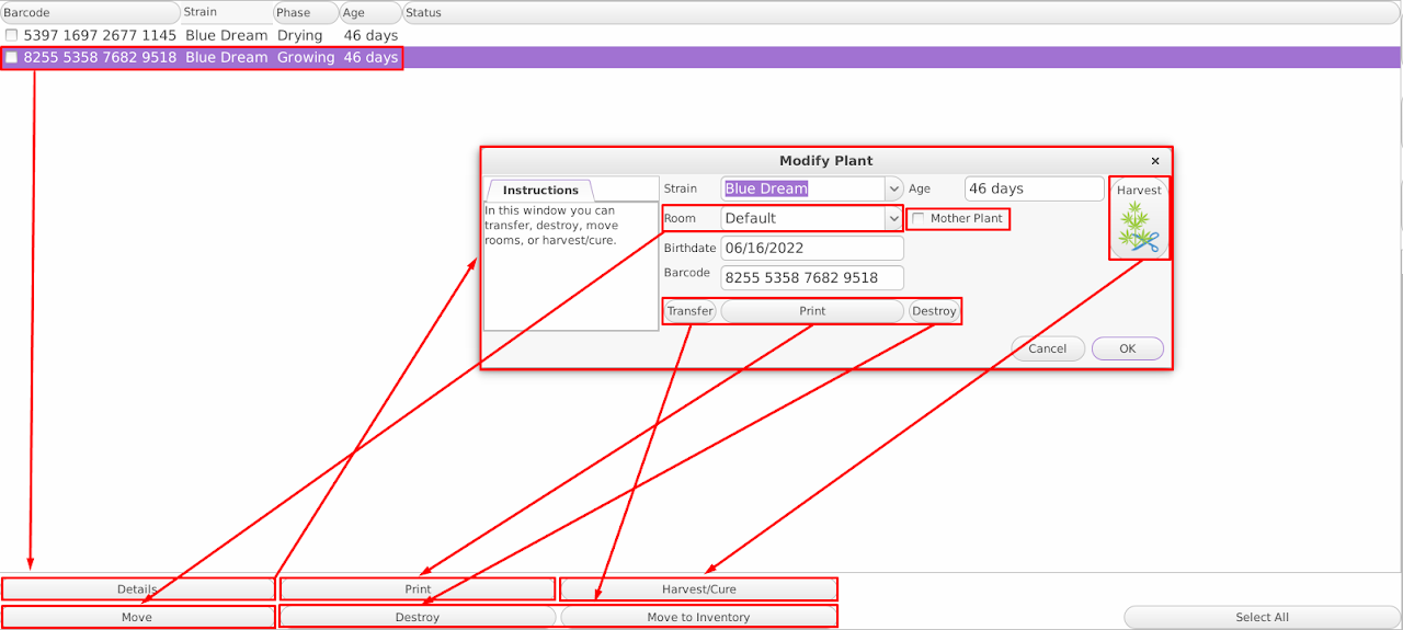 Harvesting and Curing Plants (T)